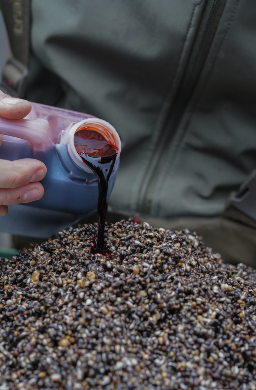 BLOODWORM LIQUID EXTRACT – WWW.VISAASONLINE.NL